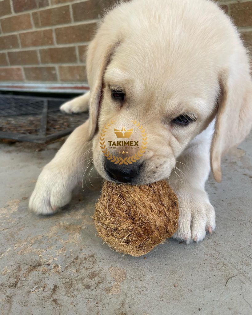 COCO BALL CHEW - TAKIMEX GLOBAL CO., LTD